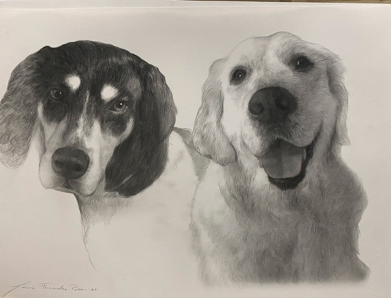 Retratos de mascotas por encargo | Retratos de perros y animales